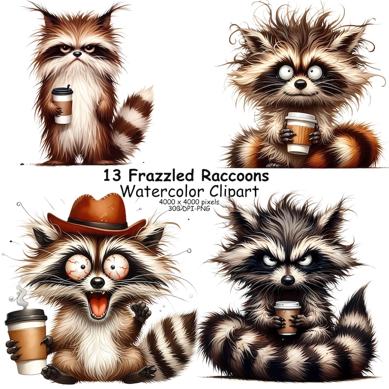 13 Watercolor Raccoons PNG Clipart Bundle, Feral T-shirt Design, Funny ...