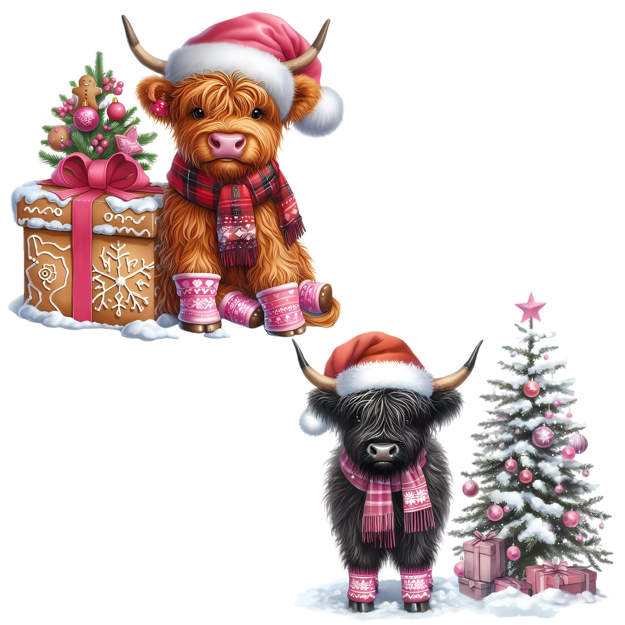 22 Pink Christmas Highland Cow Clipart Bundle. High Quality Pngs ...