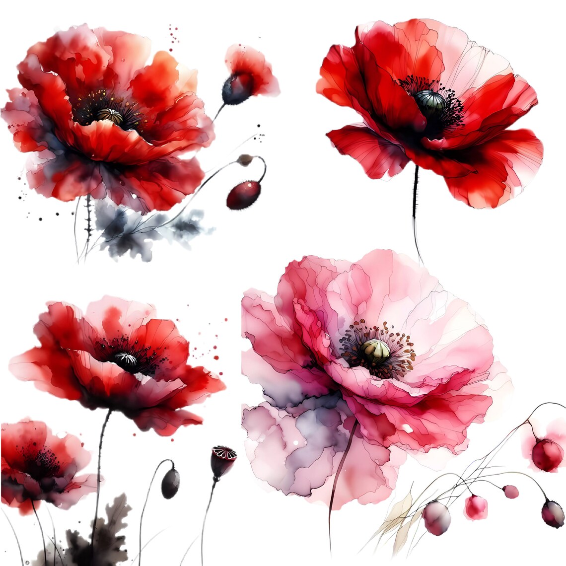Abstract Poppy Flowers Clipart Bundle, Watercolor Pngs (digital ...
