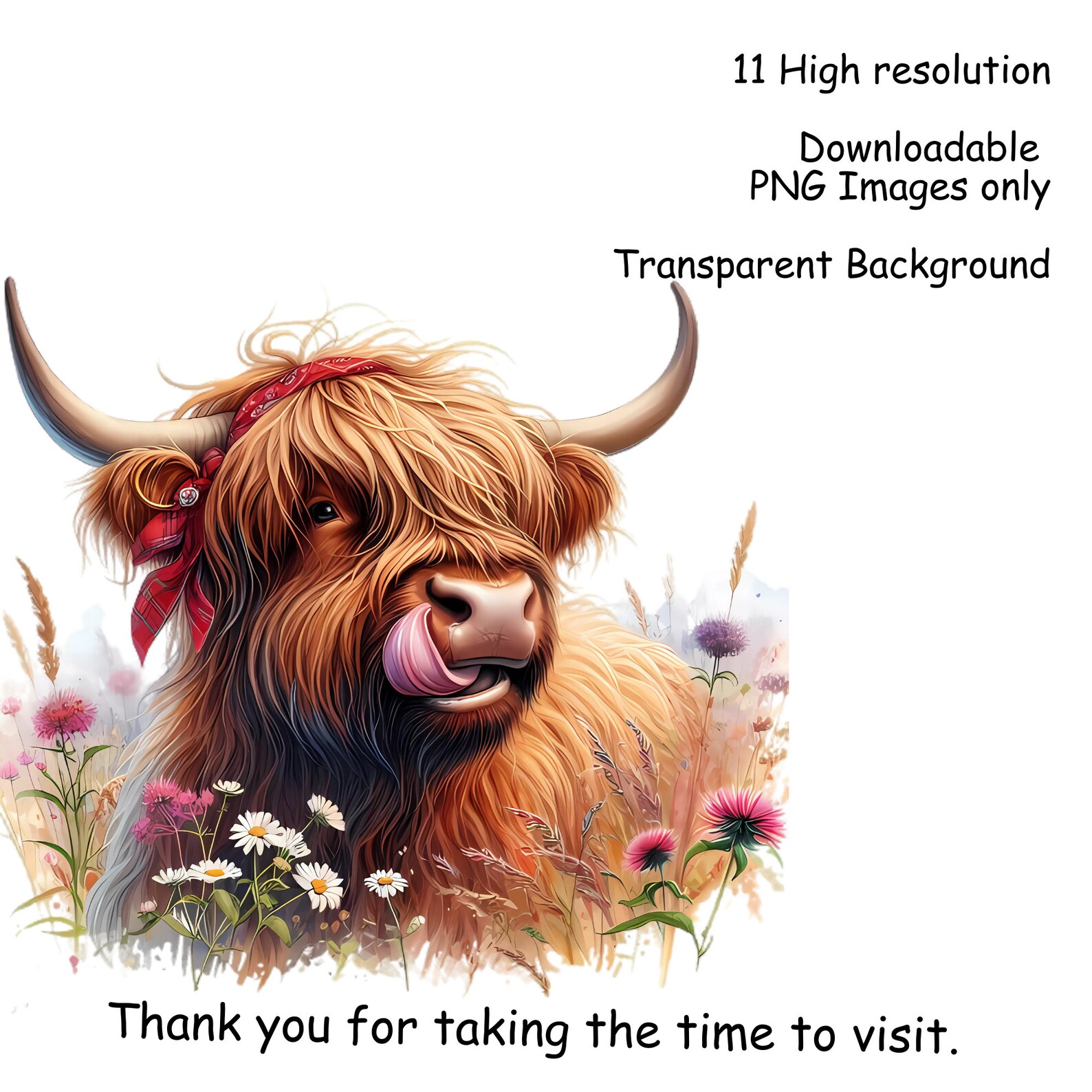 Watercolor Highland Cow Clipart, Poppy Flowers Bundle (digital Download ...