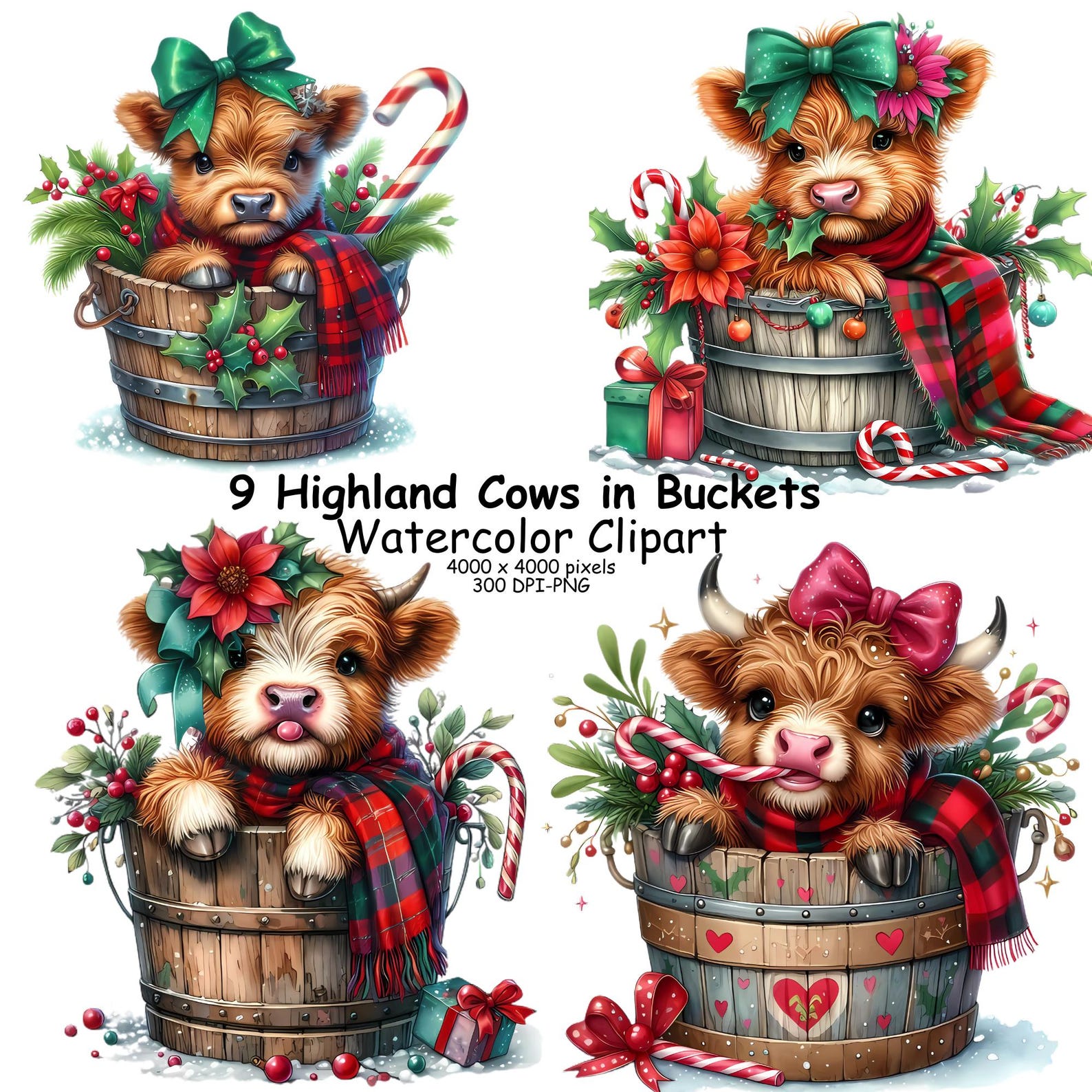 9 Watercolor Christmas Highland Cow V2 Clipart Bundle, Highland Cows in ...