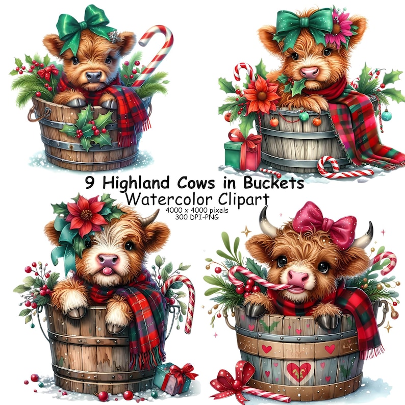 9 Watercolor Christmas Highland Cow V2 Clipart Bundle, Highland Cows in ...