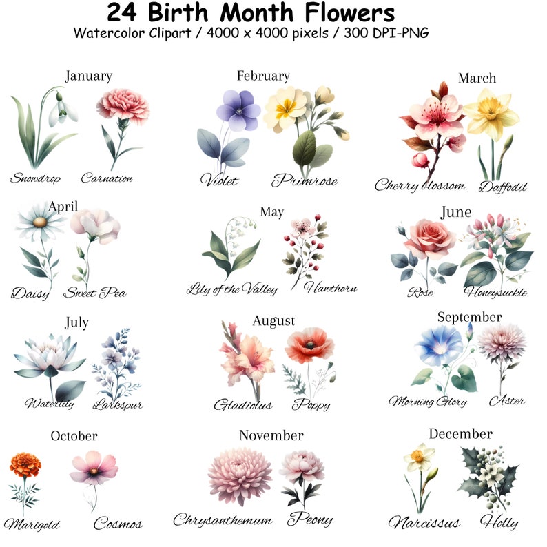 24 Birth Month Flowers Watercolor Clipart Bundle, Mother's Day Gift ...