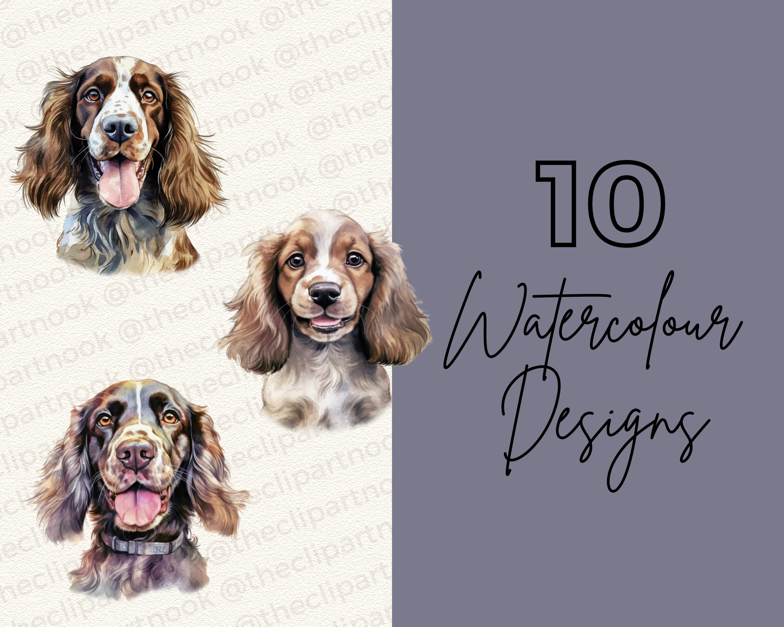 English Cocker Spaniel Dog Clipart | Watercolour English Cocker Spaniel ...