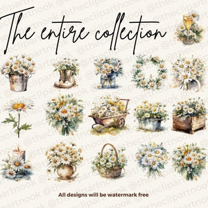 Daisy Clipart | Watercolour Daisy Clip Art | Digital Image Downloads ...