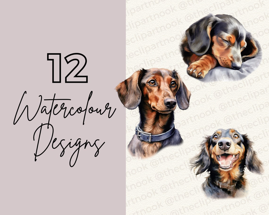 Dachshund Dog Clipart Watercolour Dachshund Sausage Dog Clip - Etsy