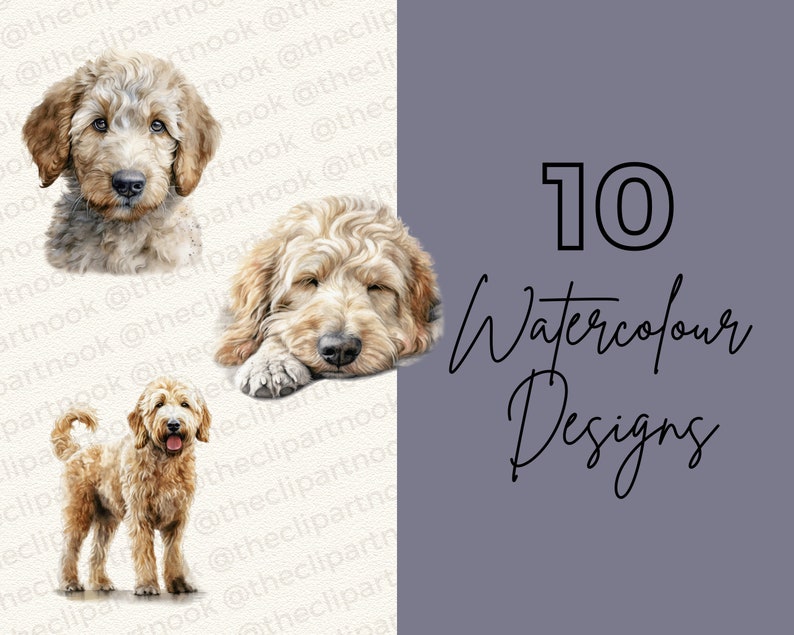 Golden Doodle Dog Clipart | Watercolour Golden Doodle Clip Art ...