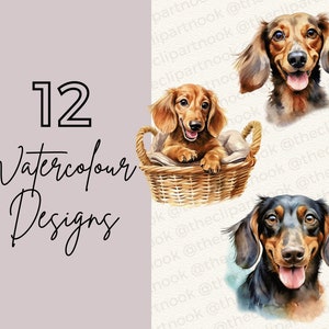Dachshund Dog Clipart | Watercolour Dachshund Sausage Dog Clip Art ...