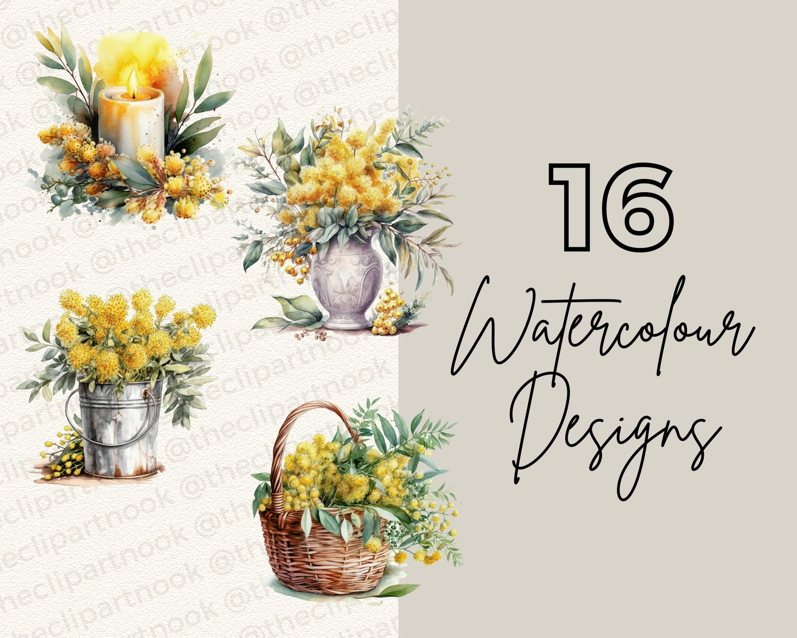 Golden Wattle Clipart | Watercolour Golden Wattle Clip Art | Digital ...