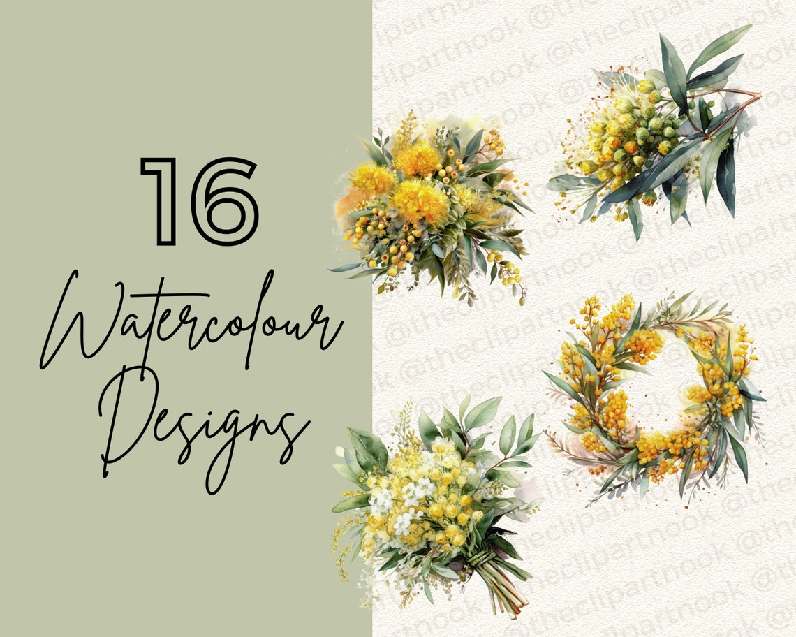 Golden Wattle Clipart | Watercolour Golden Wattle Clip Art | Digital ...