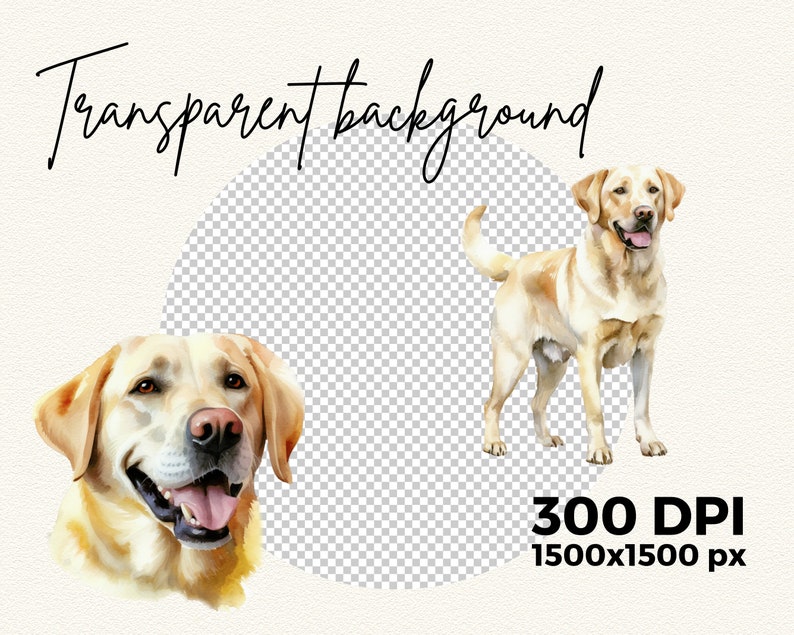 Yellow Labrador Dog Clipart | Watercolour Yellow Labrador Clip Art ...