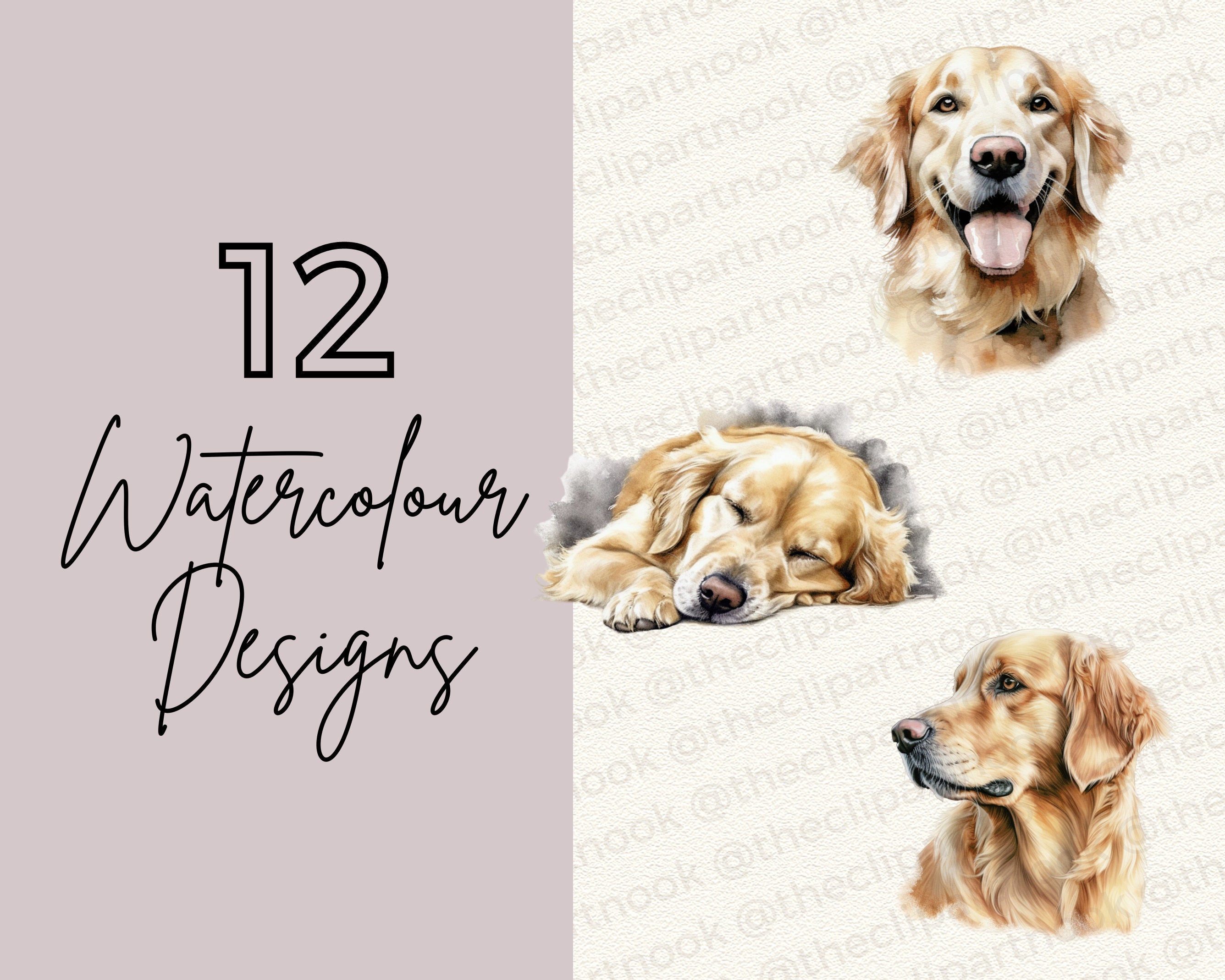 Golden Retriever Dog Clipart Watercolour Golden Retriever Clip Art ...
