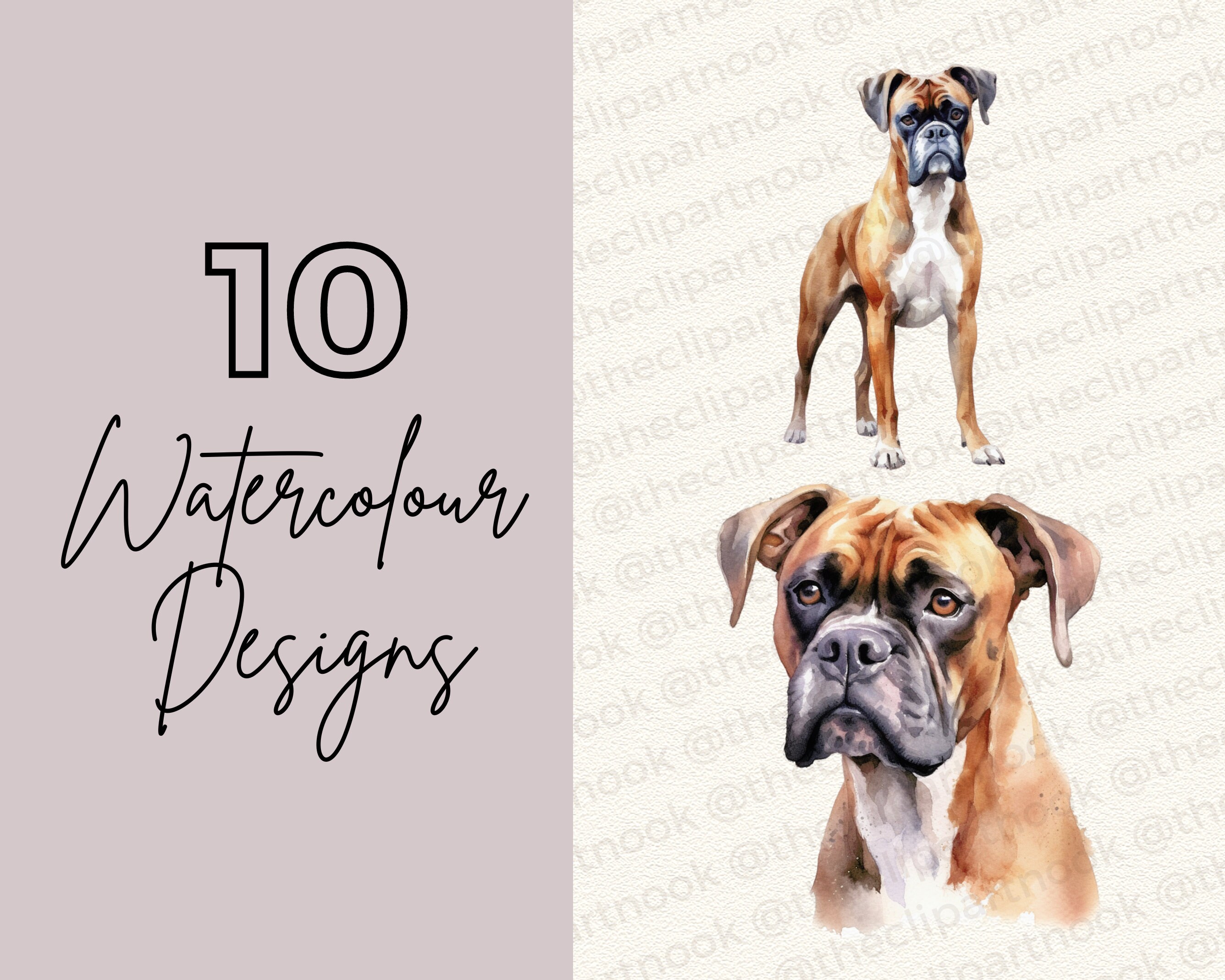 Boxer Dog Clipart Watercolour Boxer Dog Clip Art Clipart - Etsy