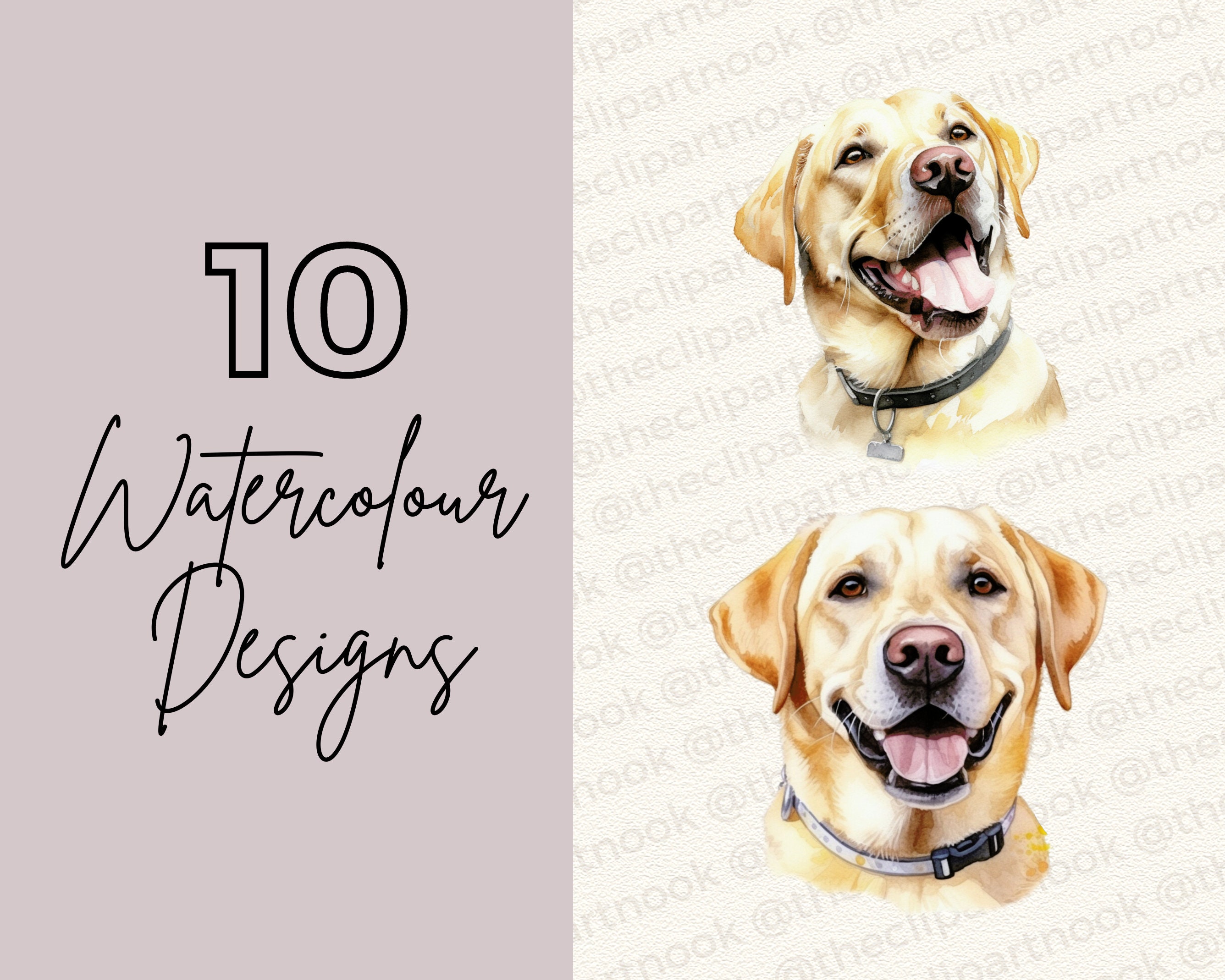 Yellow Labrador Dog Clipart | Watercolour Yellow Labrador Clip Art ...