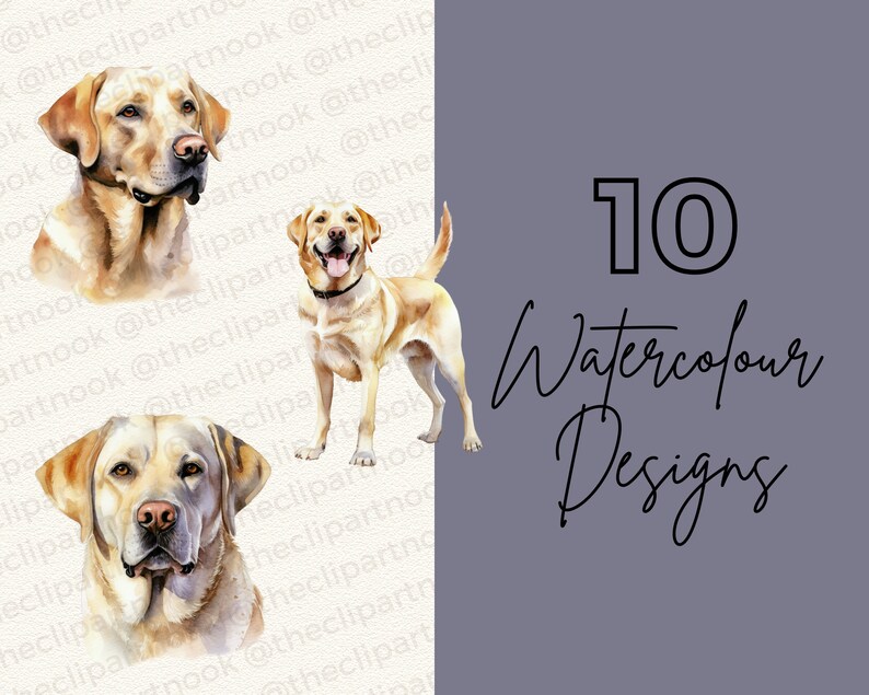 Yellow Labrador Dog Clipart | Watercolour Yellow Labrador Clip Art ...