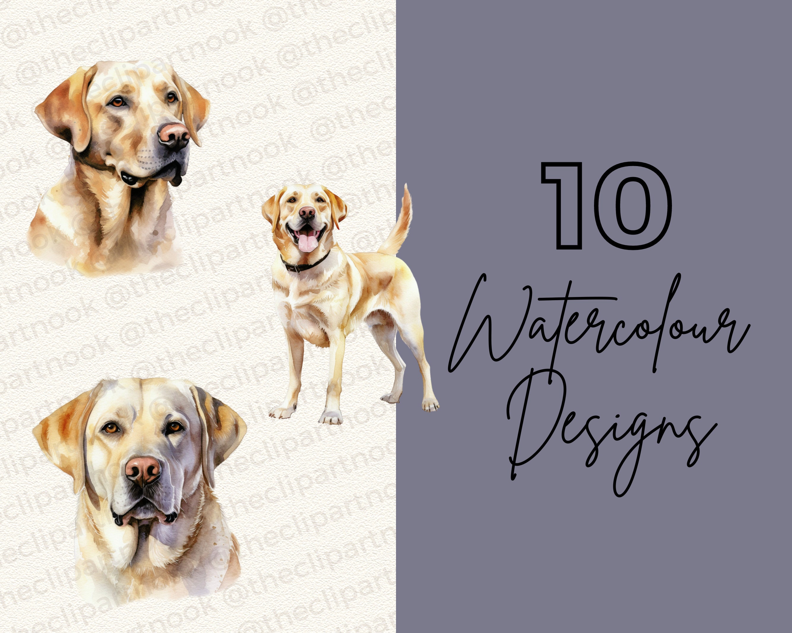 Yellow Labrador Dog Clipart | Watercolour Yellow Labrador Clip Art ...
