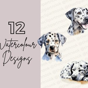 Dalmatian Dog Clipart | Watercolour Dalmatian Dog Clip Art | Clipart ...