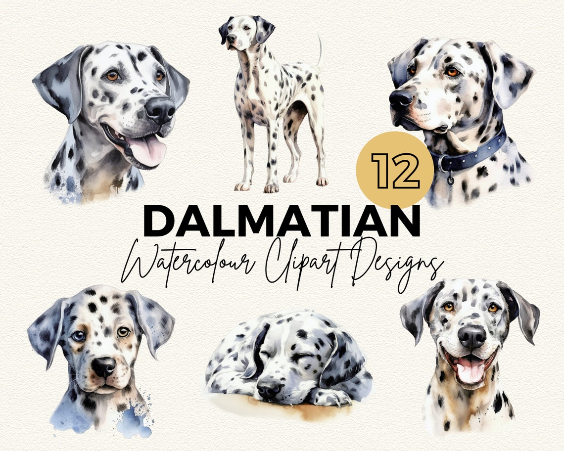 Dalmatian Dog Clipart Watercolour Dalmatian Dog Clip Art Clipart Bundle ...
