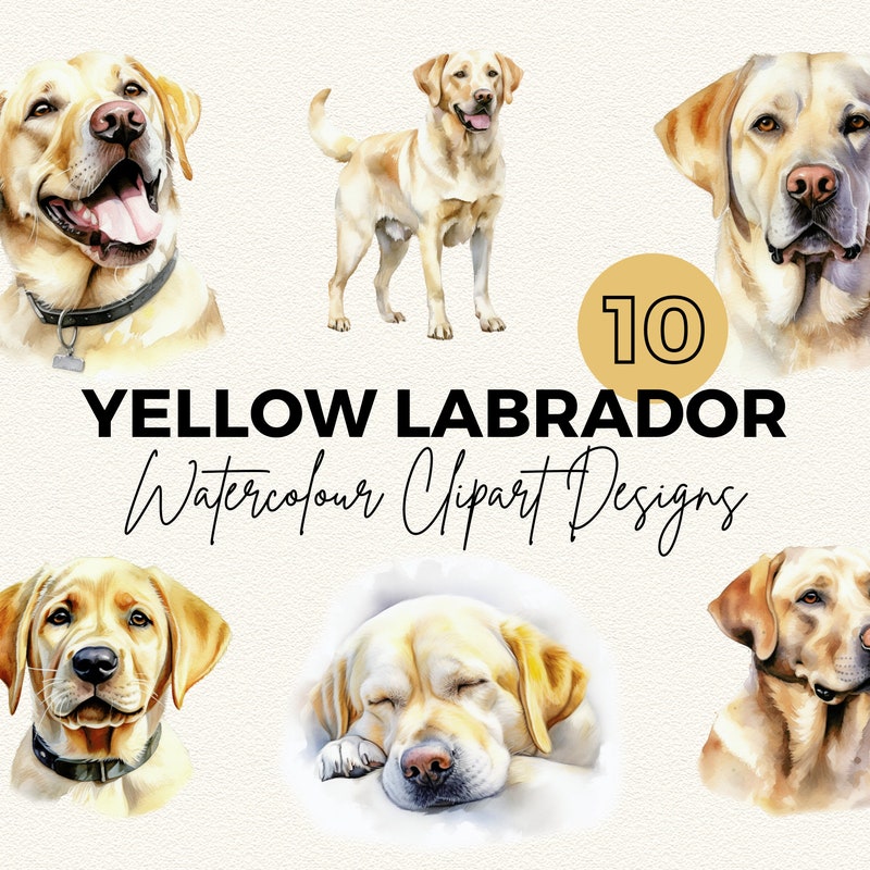 Yellow Lab Watercolor - Etsy