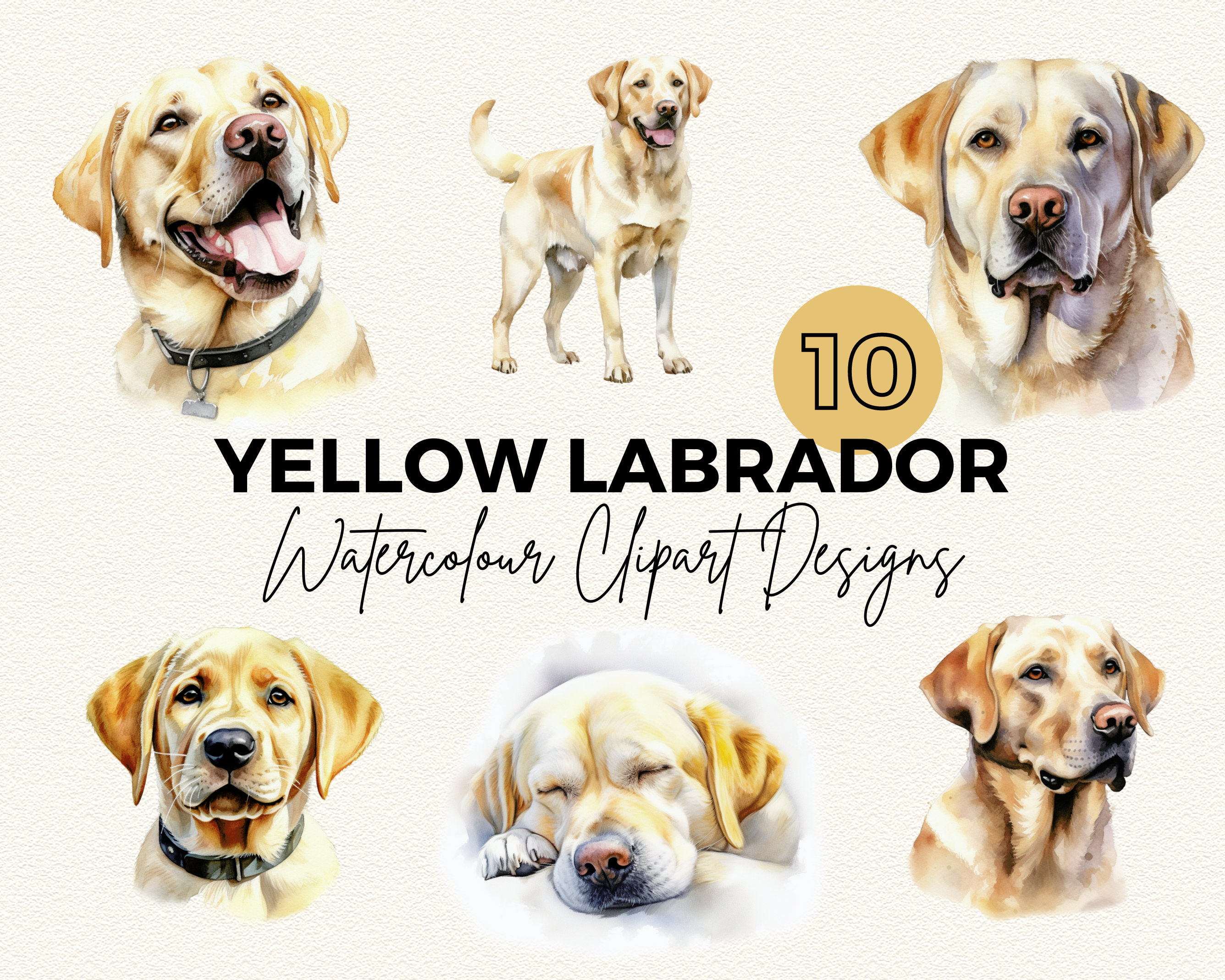 Yellow Labrador Dog Clipart | Watercolour Yellow Labrador Clip Art ...