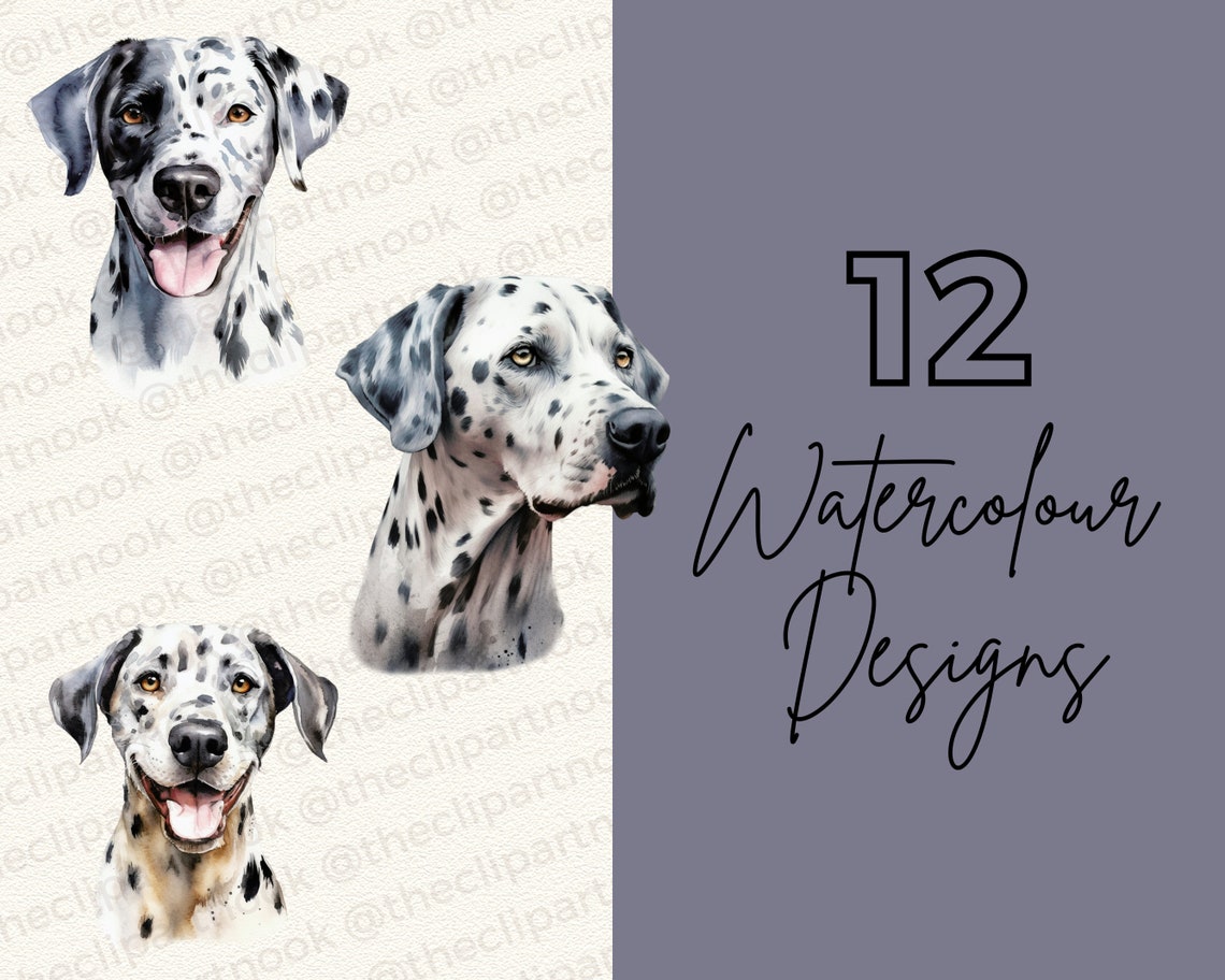 Dalmatian Dog Clipart Watercolour Dalmatian Dog Clip Art Clipart Bundle ...