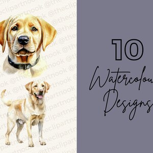 Yellow Labrador Dog Clipart | Watercolour Yellow Labrador Clip Art ...