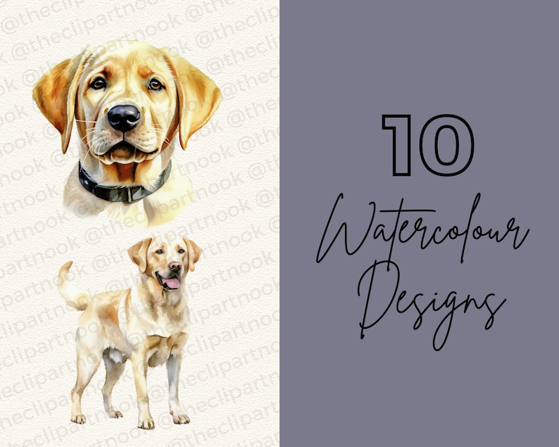 Yellow Labrador Dog Clipart | Watercolour Yellow Labrador Clip Art ...