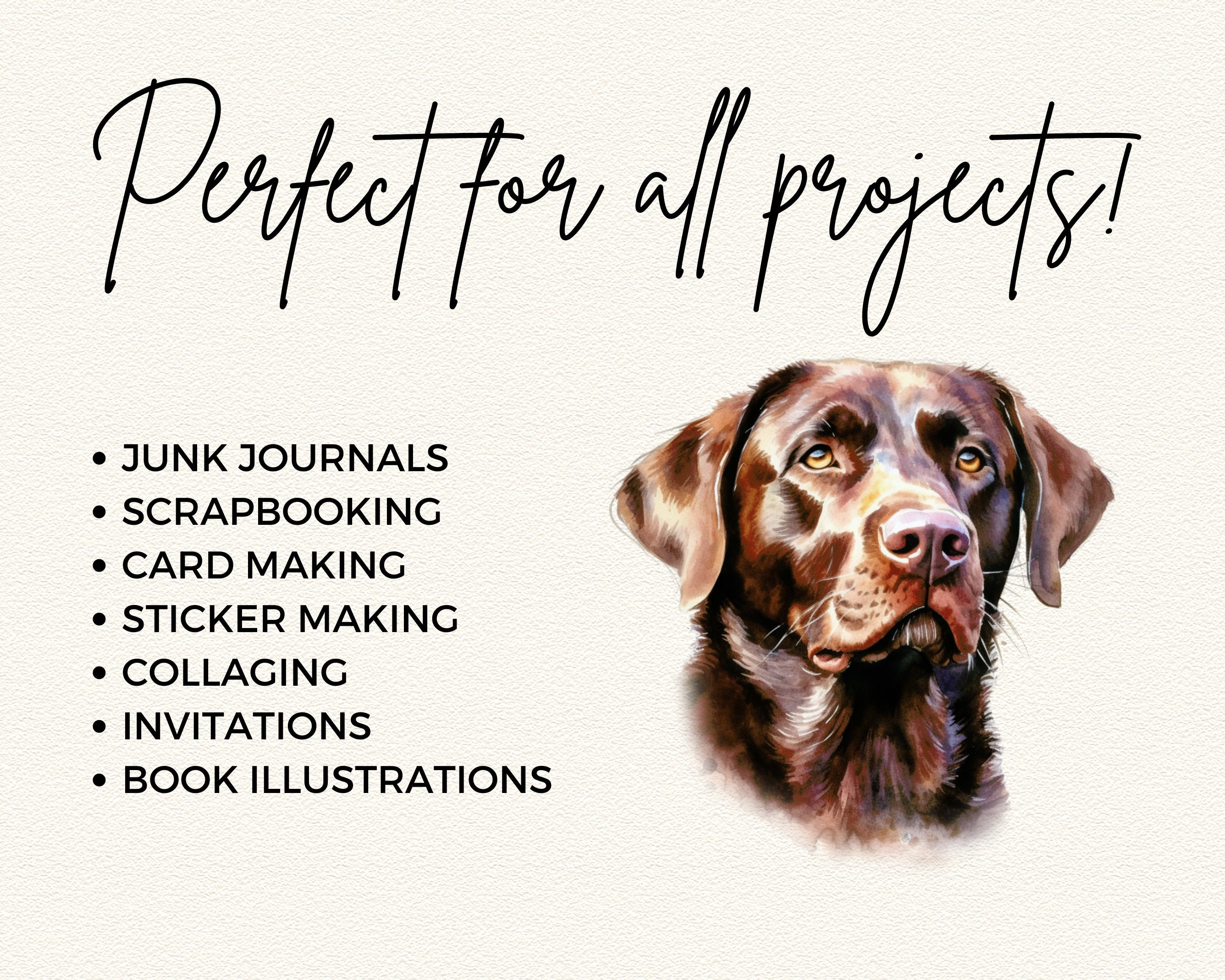 Chocolate Labrador Dog Clipart Watercolour Labrador Clip Art Clipart ...