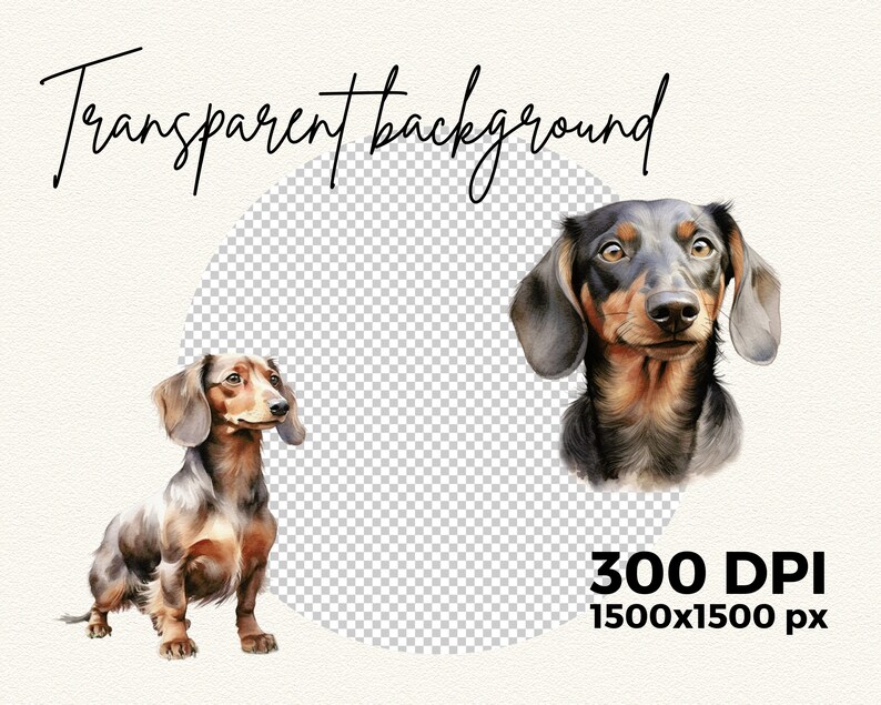 Dachshund Dog Clipart | Watercolour Dachshund Sausage Dog Clip Art ...