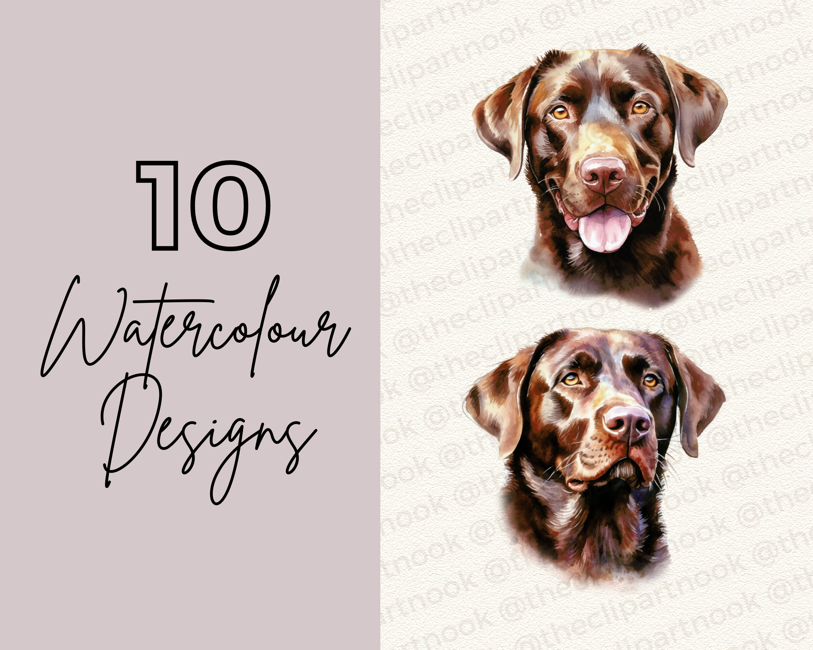 Chocolate Labrador Dog Clipart Watercolour Labrador Clip Art Clipart ...