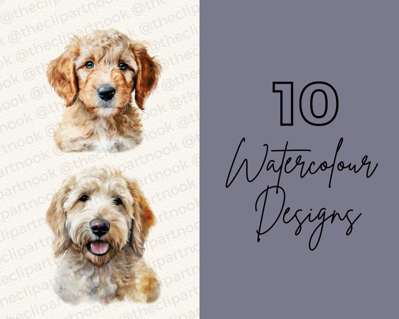 Golden Doodle Dog Clipart | Watercolour Golden Doodle Clip Art ...