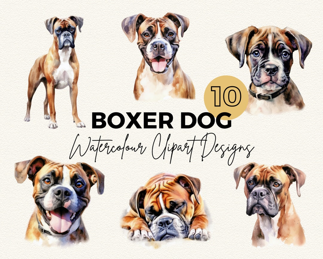 Boxer Dog Clipart | Watercolour Boxer Dog Clip Art | Clipart Bundle ...