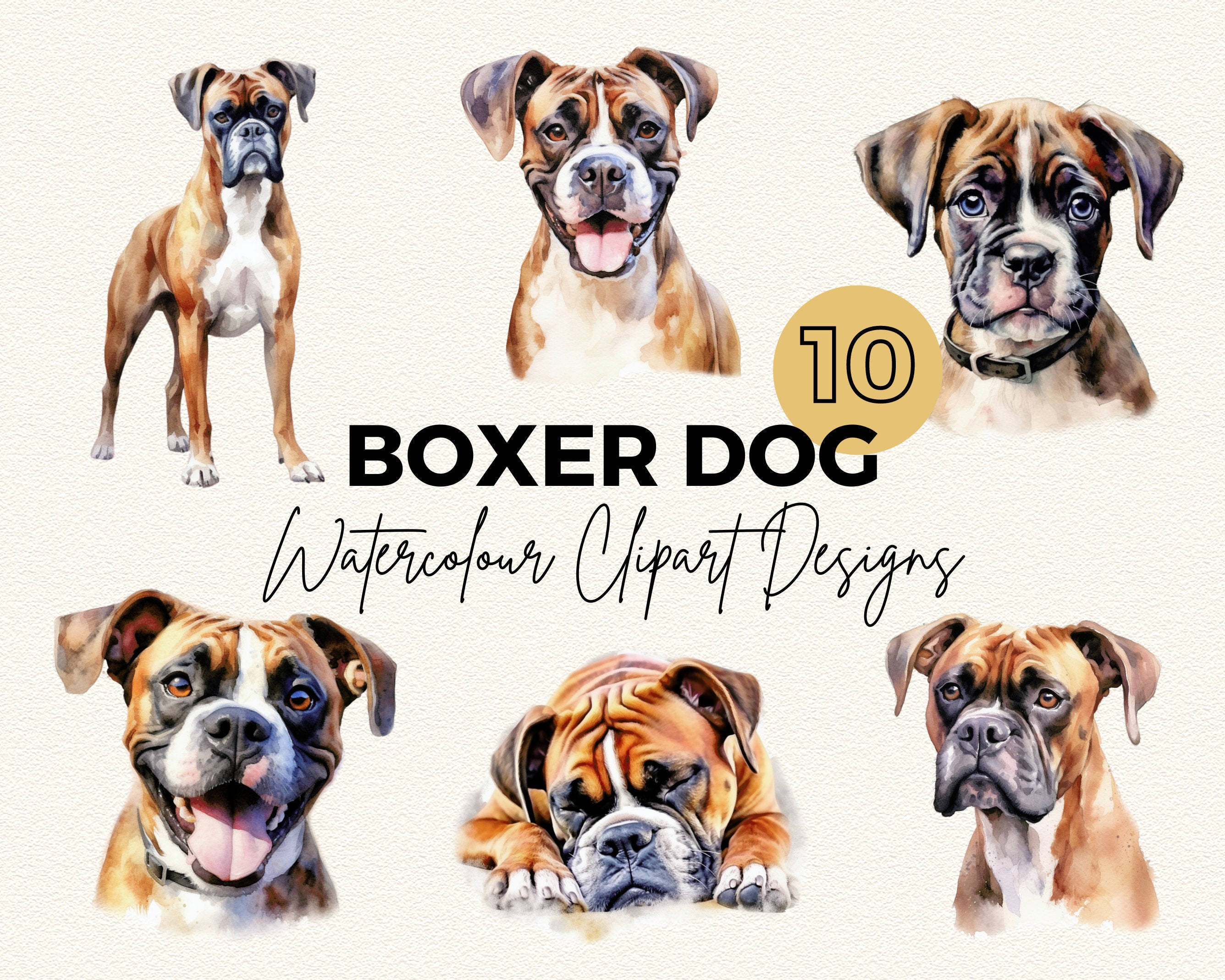 Boxer Dog Clipart Watercolour Boxer Dog Clip Art Clipart - Etsy