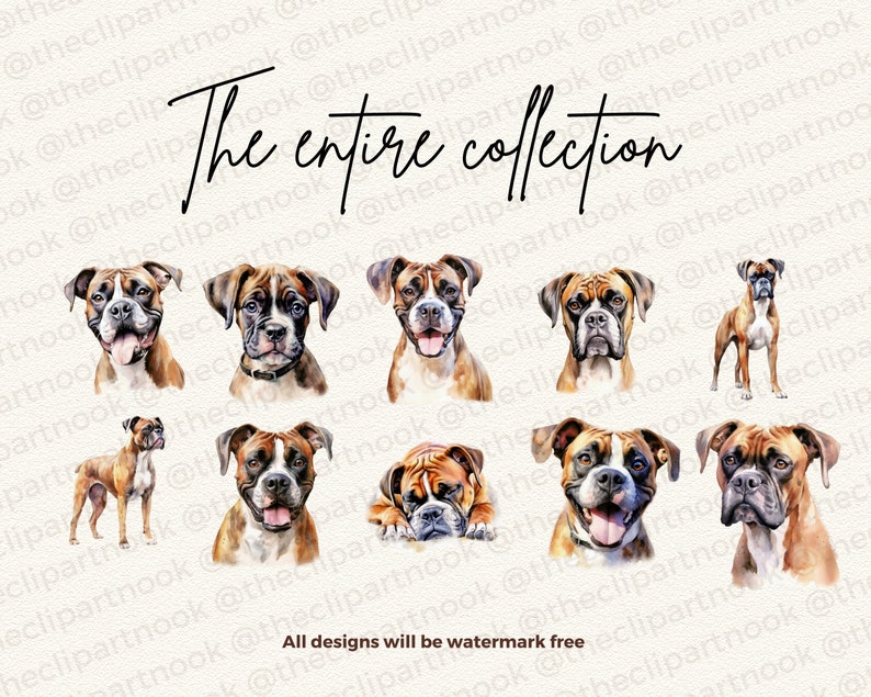 Boxer Dog Clipart | Watercolour Boxer Dog Clip Art | Clipart Bundle ...