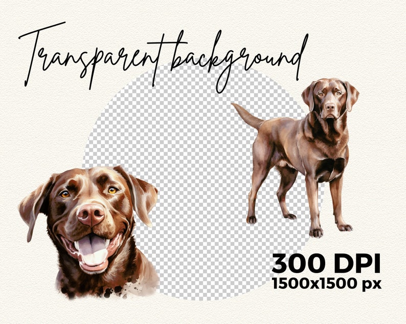 Chocolate Labrador Dog Clipart Watercolour Labrador Clip Art Clipart ...