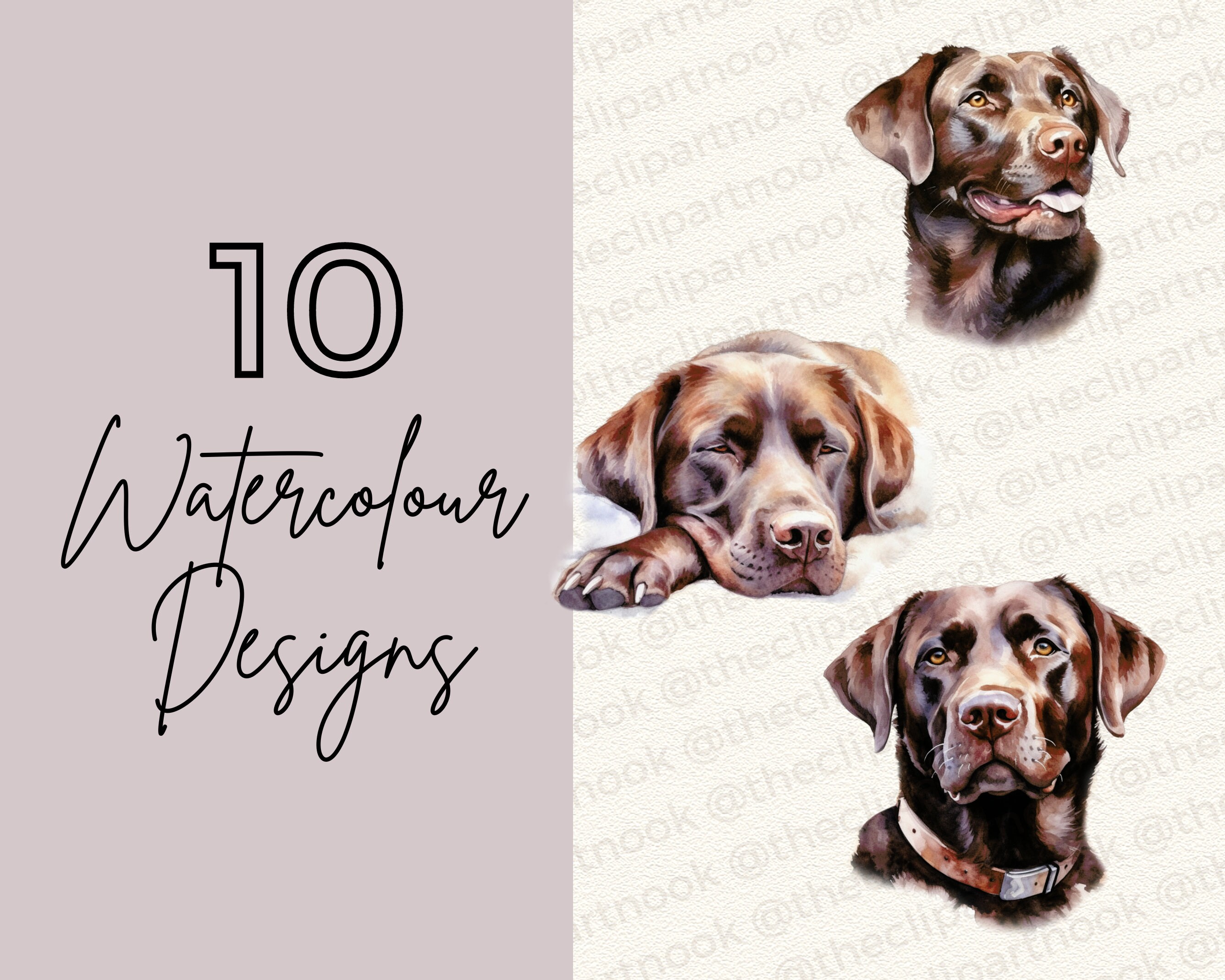Chocolate Labrador Dog Clipart Watercolour Labrador Clip Art Clipart ...