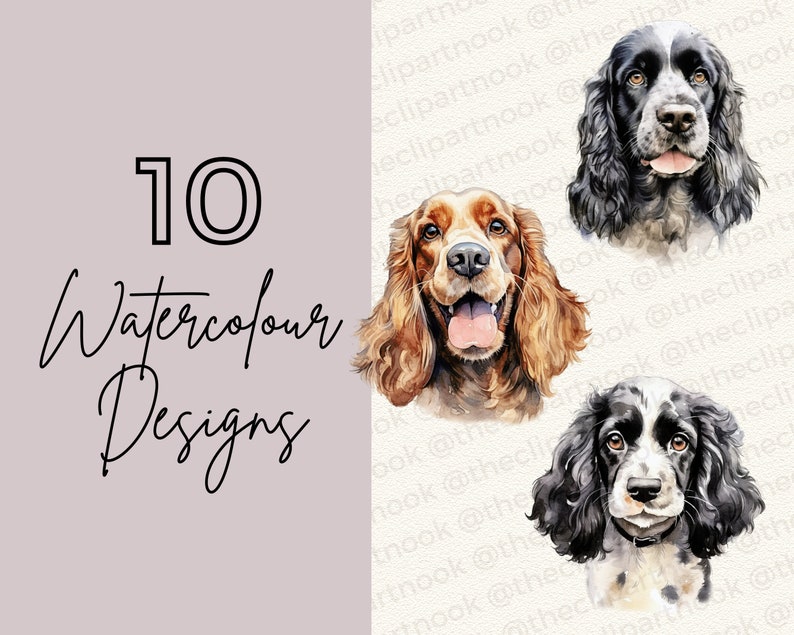 English Cocker Spaniel Dog Clipart | Watercolour English Cocker Spaniel ...