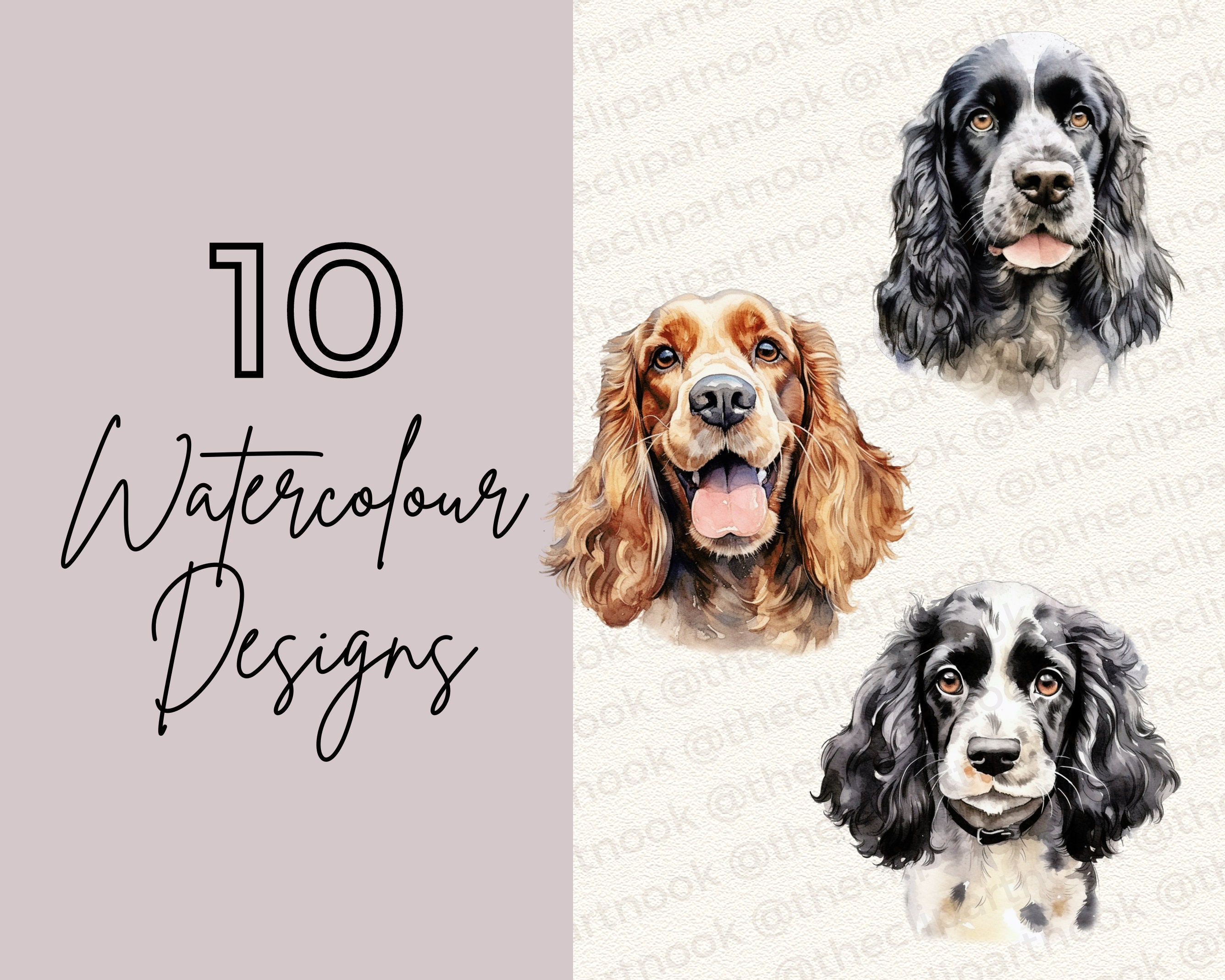 English Cocker Spaniel Dog Clipart | Watercolour English Cocker Spaniel ...