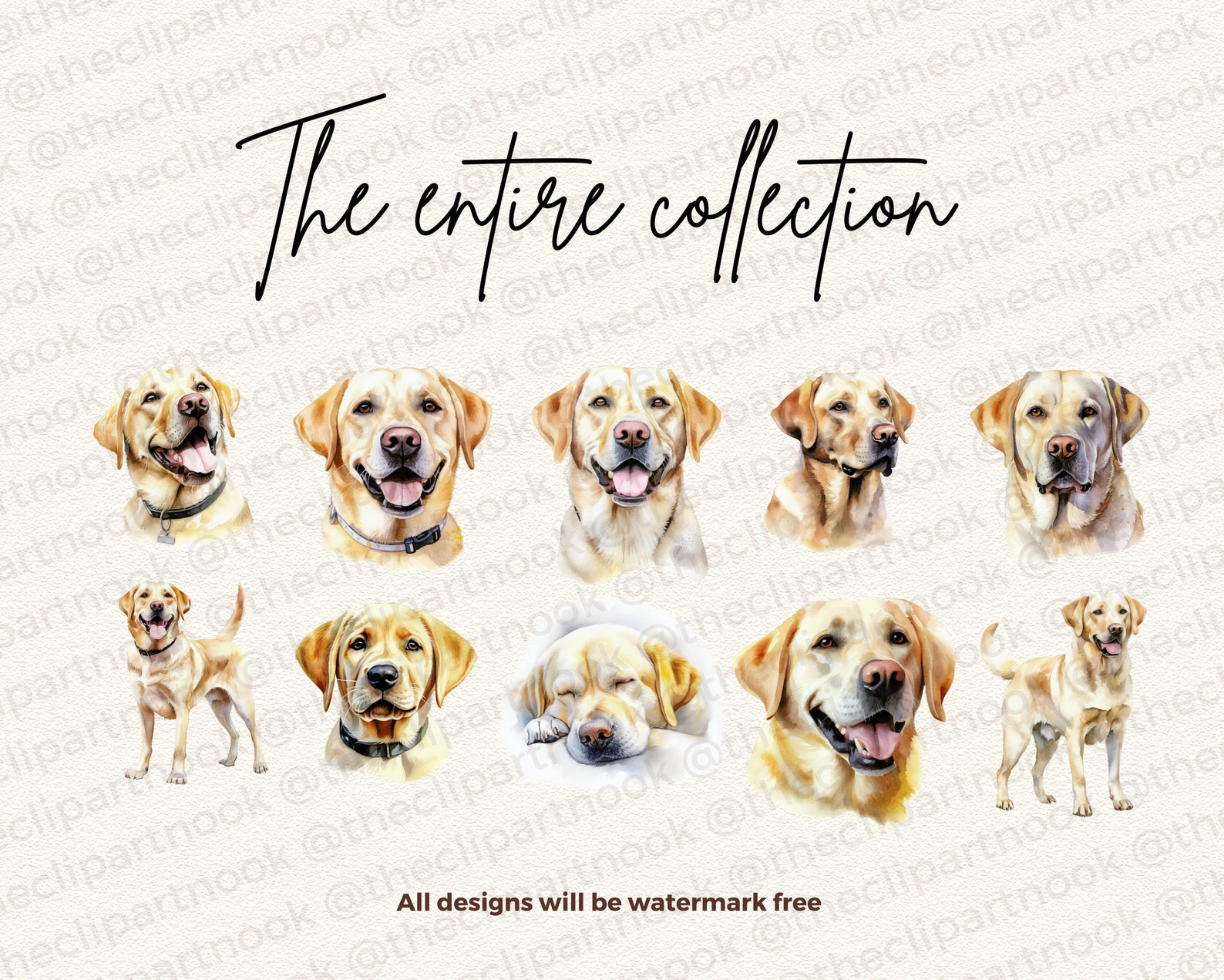 Yellow Labrador Dog Clipart | Watercolour Yellow Labrador Clip Art ...