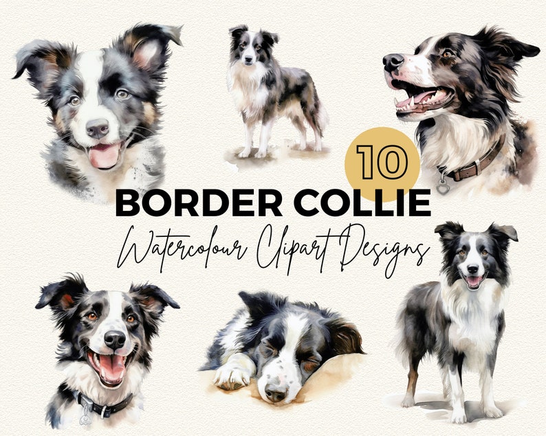Border Collie Dog Clipart | Watercolour Border Collie Clip Art ...