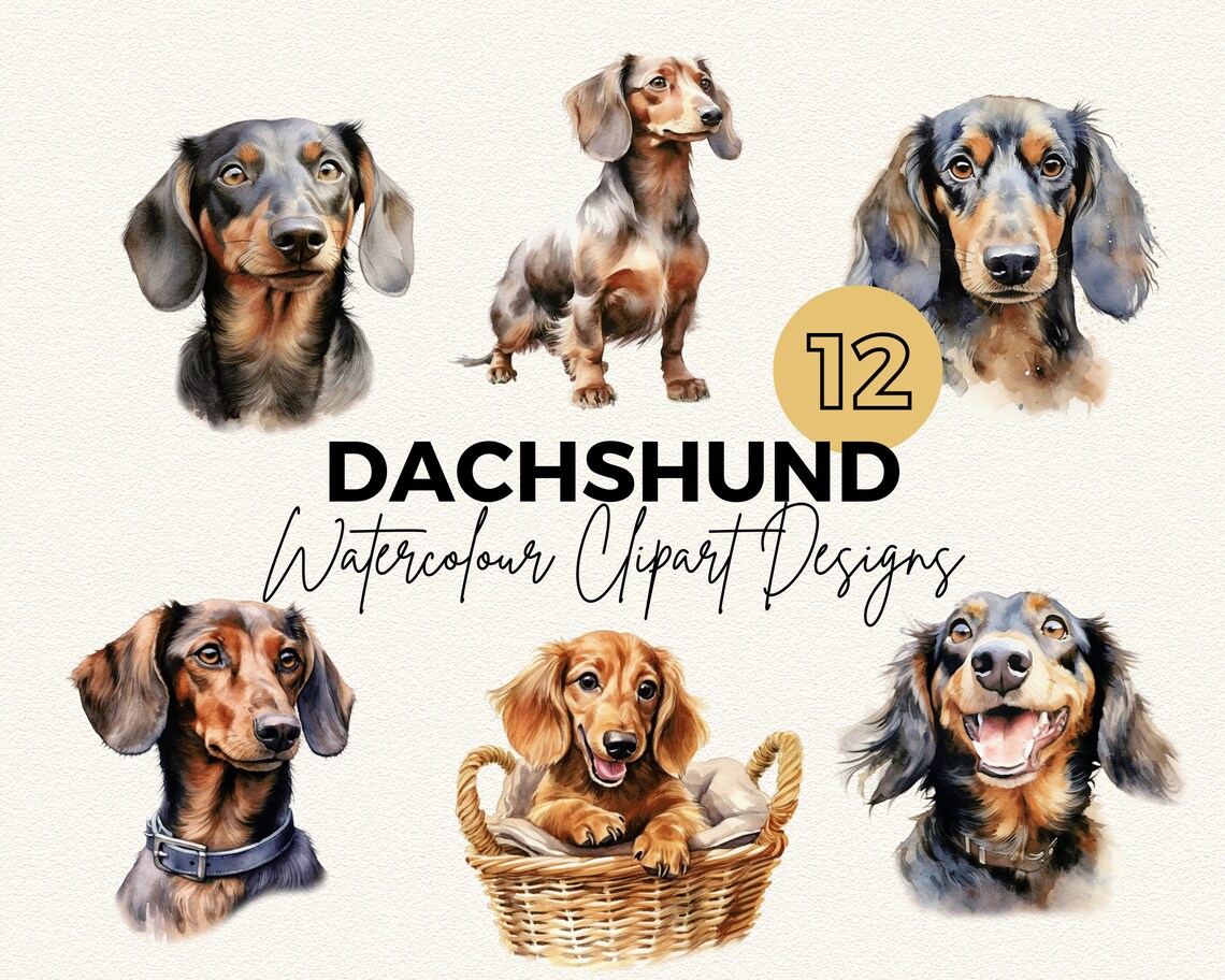 Dachshund Dog Clipart Watercolour Dachshund Sausage Dog Clip - Etsy