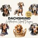 Dachshund Dog Clipart | Watercolour Dachshund Sausage Dog Clip Art ...