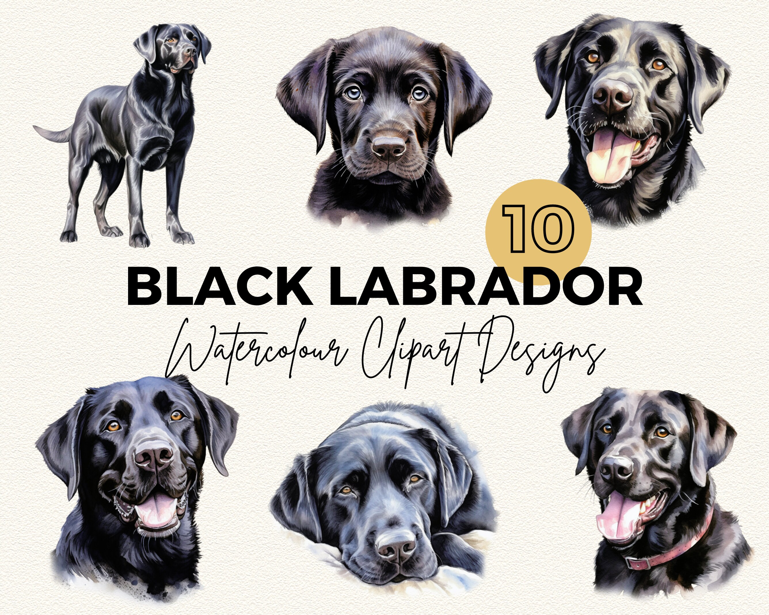 Black Labrador Clipart | Watercolour Black Labrador Dog Clip Art ...
