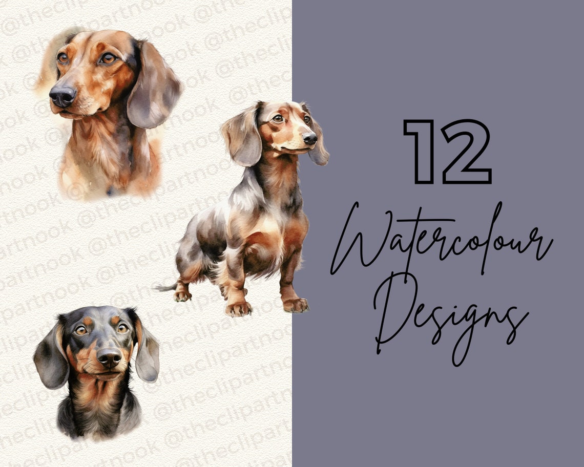 Dachshund Dog Clipart Watercolour Dachshund Sausage Dog Clip - Etsy
