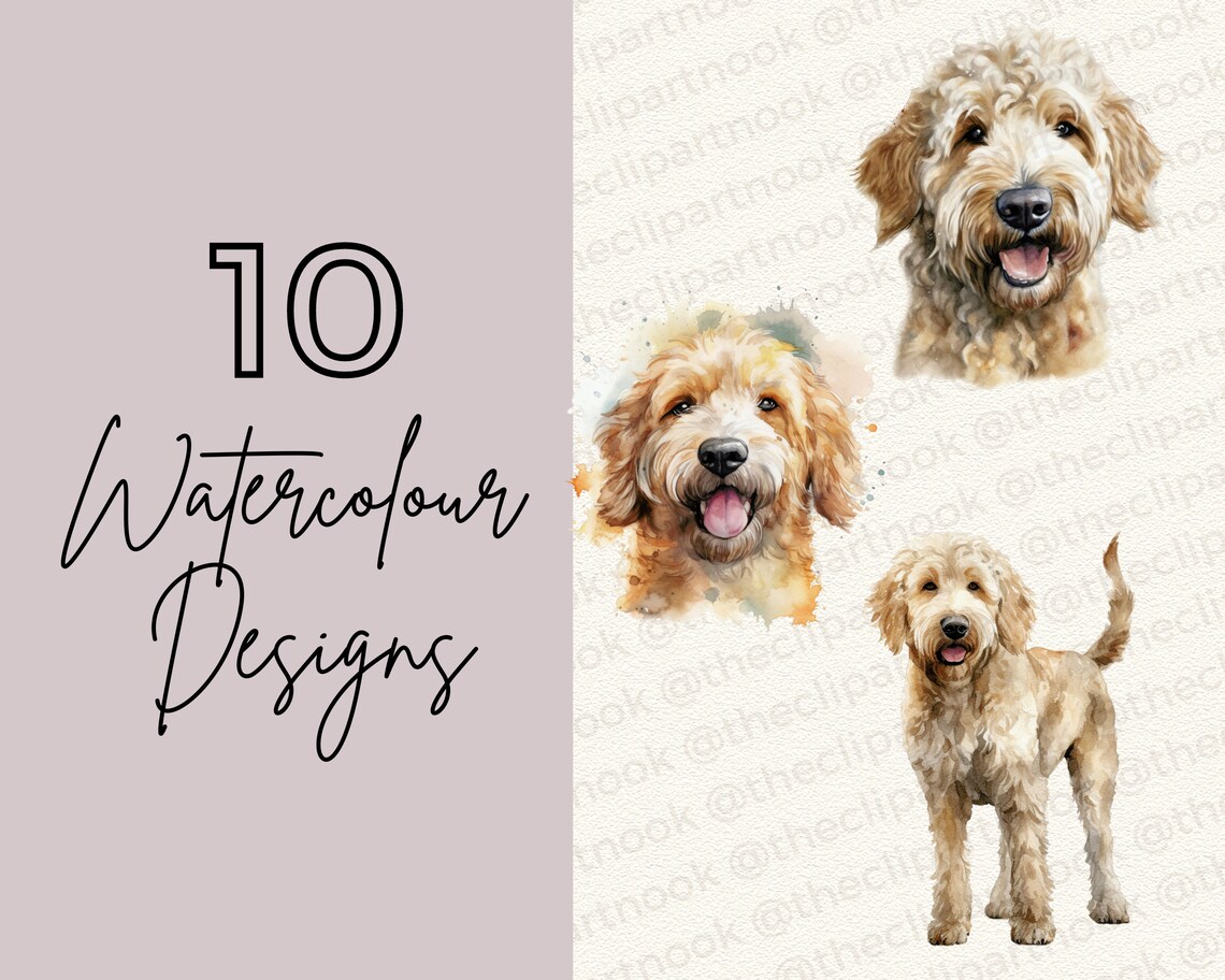 Golden Doodle Dog Clipart Watercolour Golden Doodle Clip Art Clipart ...