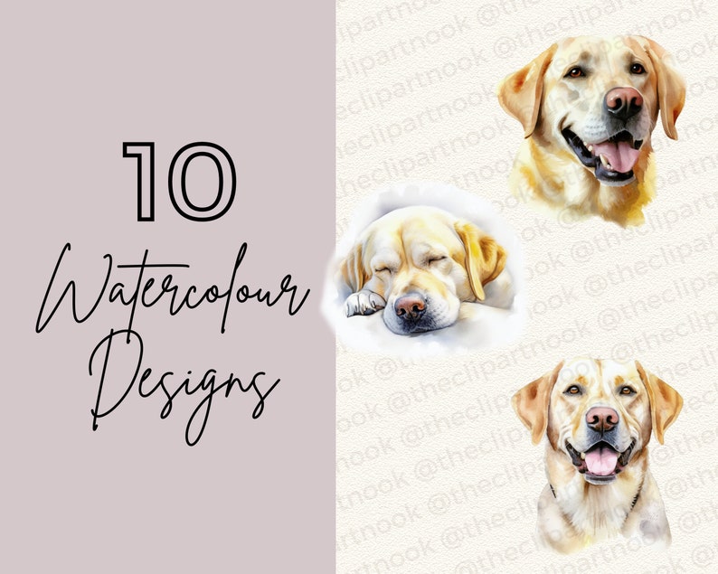 Yellow Labrador Dog Clipart | Watercolour Yellow Labrador Clip Art ...