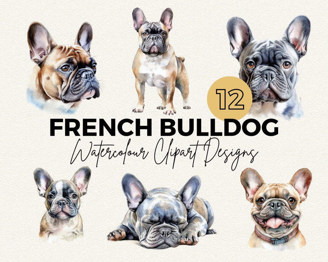 French Bulldog Dog Clipart | Watercolour French Bulldog Clip Art ...