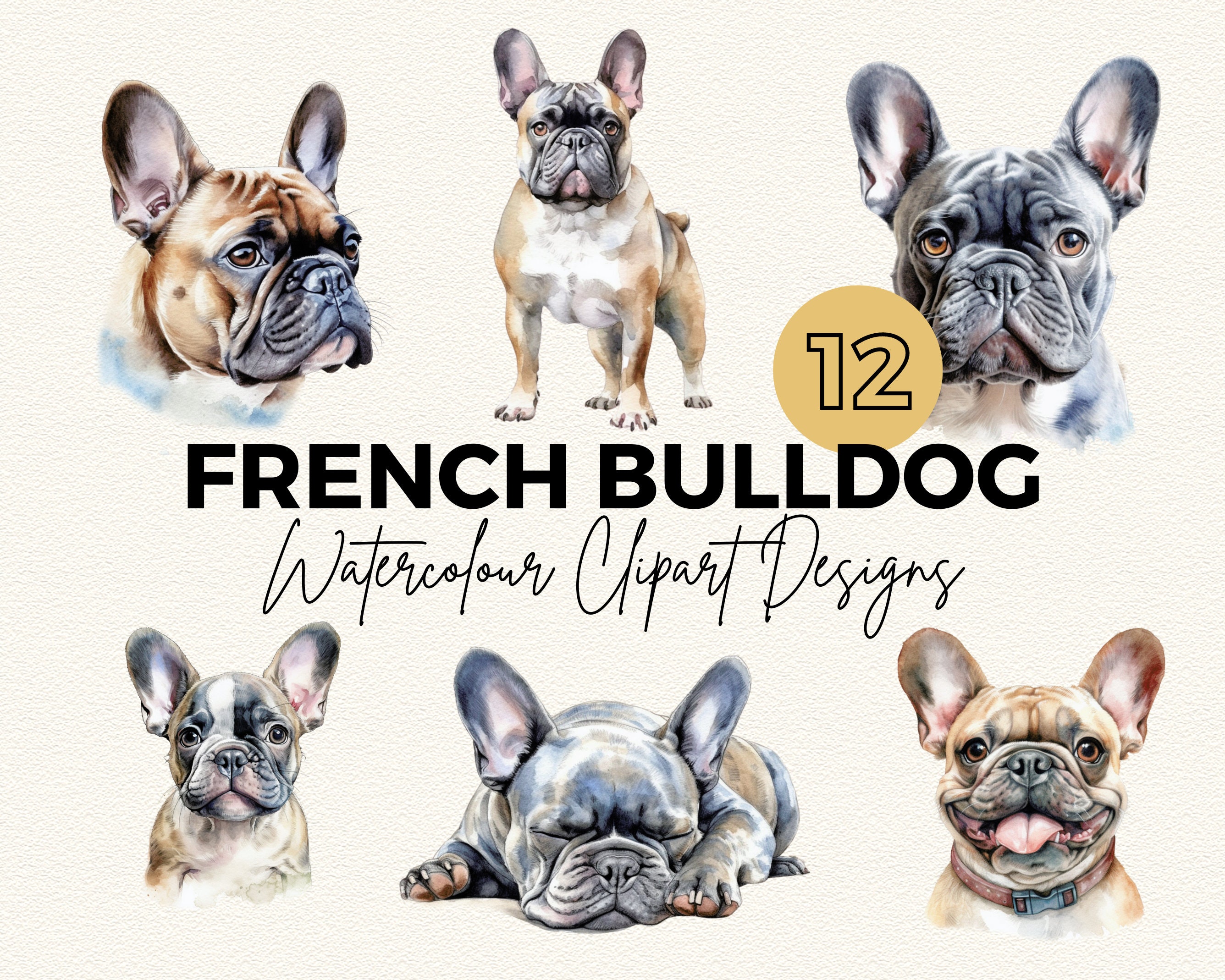French Bulldog Dog Clipart Watercolour French Bulldog Clip - Etsy