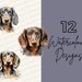 Dachshund Dog Clipart | Watercolour Dachshund Sausage Dog Clip Art ...
