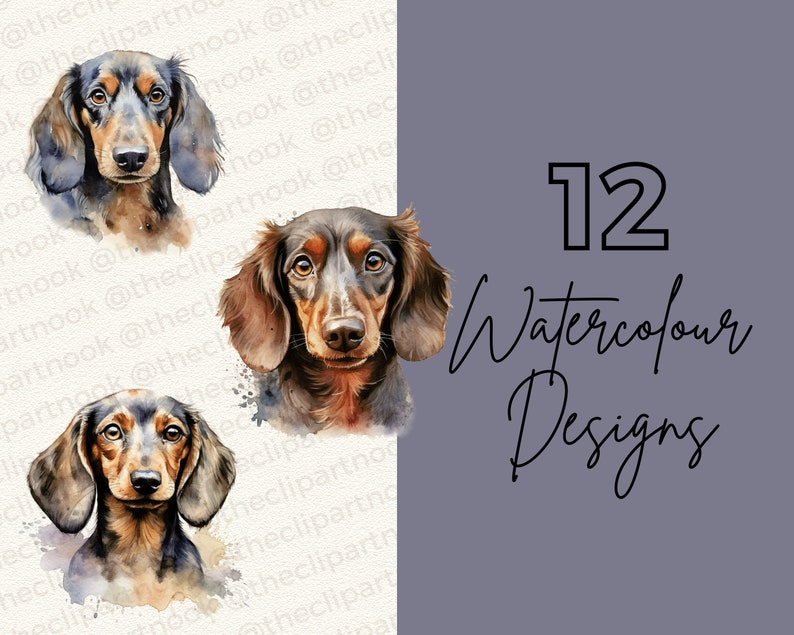 Dachshund Dog Clipart Watercolour Dachshund Sausage Dog Clip - Etsy